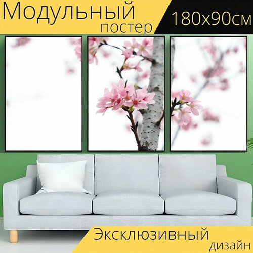 Модульный постер "Цветы, цветение вишни, дерево" 180 x 90 см. для интерьера