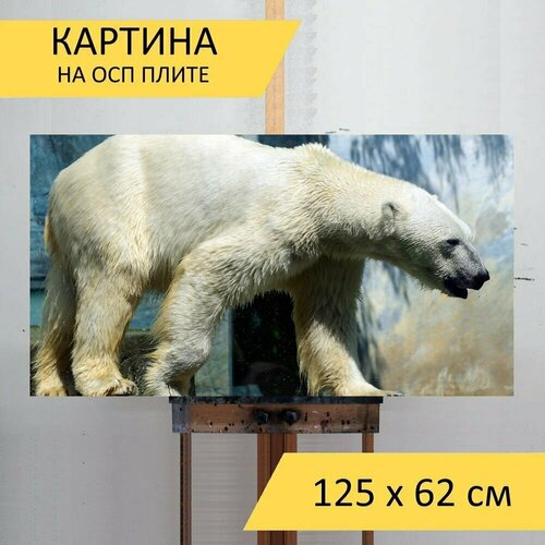 Картина на ОСП 125х62 см. "Полярный медведь, хищник, животное" горизонтальная, для интерьера, с креплениями