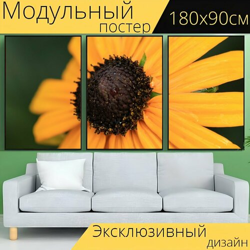 Модульный постер "Шляпа от солнца, рудбекия, цветок" 180 x 90 см. для интерьера
