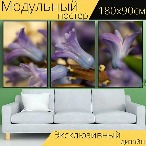 Модульный постер "Гиацинты, цветы, фиолетовые цветы" 180 x 90 см. для интерьера