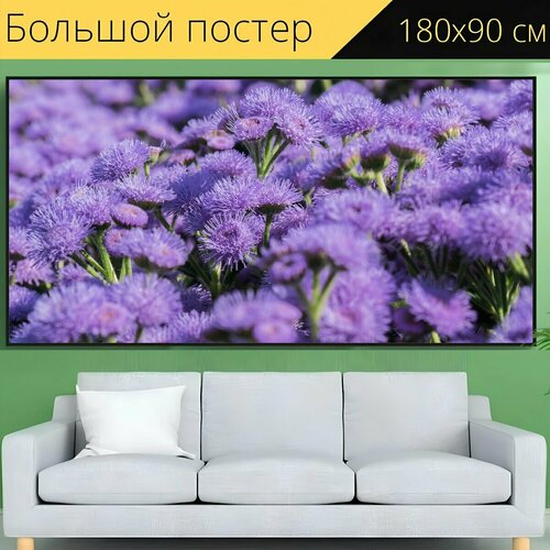 Большой постер "Цветок, сад, фиолетовый" 180 x 90 см. для интерьера