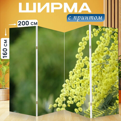 Ширма перегородка с принтом "Теги мимоза, желтый цветок, летом" на холсте - 200x160 см. для зонирования, раскладная