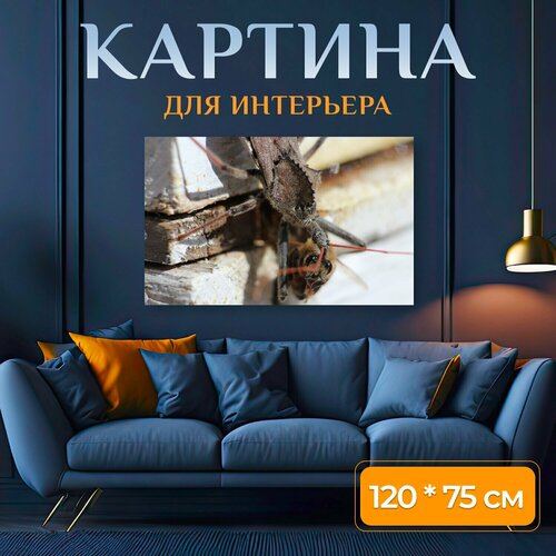 Картина на холсте "Жук, насекомое, хищник" на подрамнике 120х75 см. для интерьера