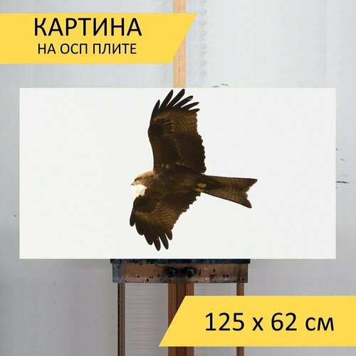 Картина на ОСП 125х62 см. "Птица, крылья, животное" горизонтальная, для интерьера, с креплениями