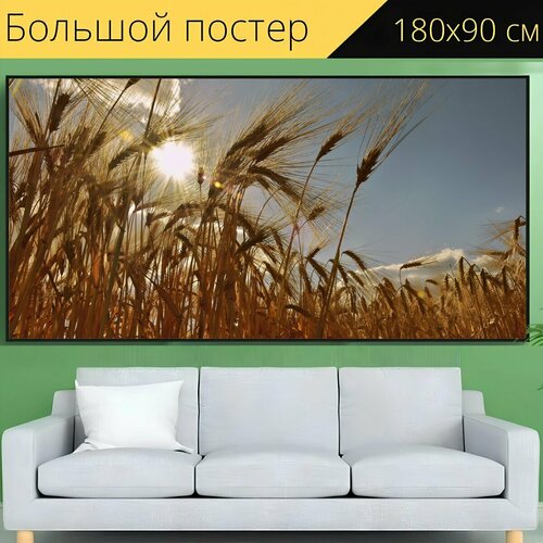 Большой постер "Зерно, зерновое поле, ячмень" 180 x 90 см. для интерьера
