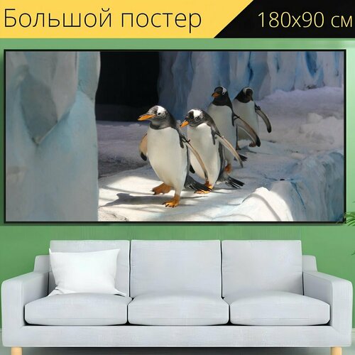 Большой постер "Пингвин, зоопарк, птица" 180 x 90 см. для интерьера