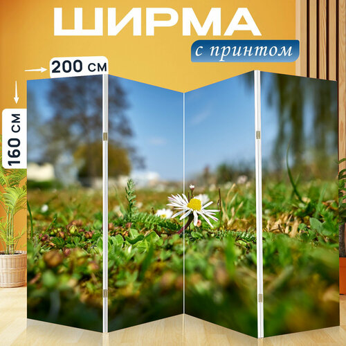 Ширма перегородка с принтом "Луг, трава, цветы" на холсте - 200x160 см. для зонирования, раскладная