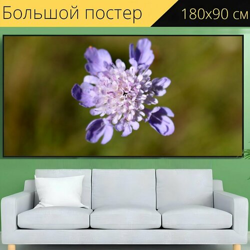 Большой постер "Полевой цветок, фиолетовый уайлдфлауэр, полевые цветы" 180 x 90 см. для интерьера
