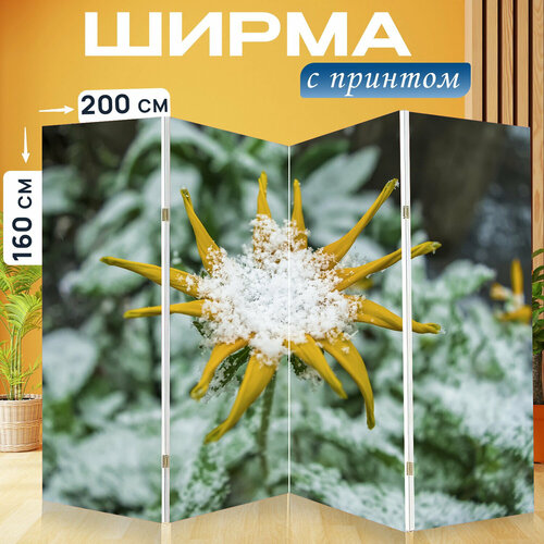 Ширма перегородка с принтом "Первый снег, цветы, макро" на холсте - 200x160 см. для зонирования, раскладная