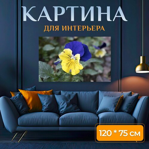 Картина на холсте "Цветок, природа, анютины глазки" на подрамнике 120х75 см. для интерьера