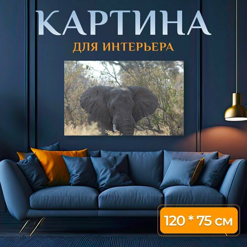 Картина на холсте "Слон, животное, сафари" на подрамнике 120х75 см. для интерьера