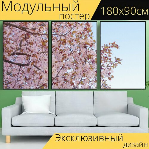 Модульный постер "Сакура, цветок, япония" 180 x 90 см. для интерьера