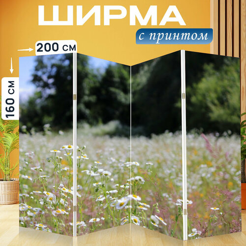 Ширма перегородка с принтом "Уайлдфлауэр луг, цветы, цветущий" на холсте - 200x160 см. для зонирования, раскладная