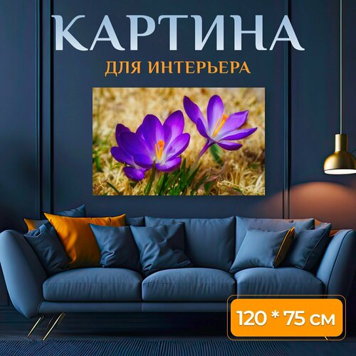 Картина на холсте "Крокус, цветы, завод" на подрамнике 120х75 см. для интерьера