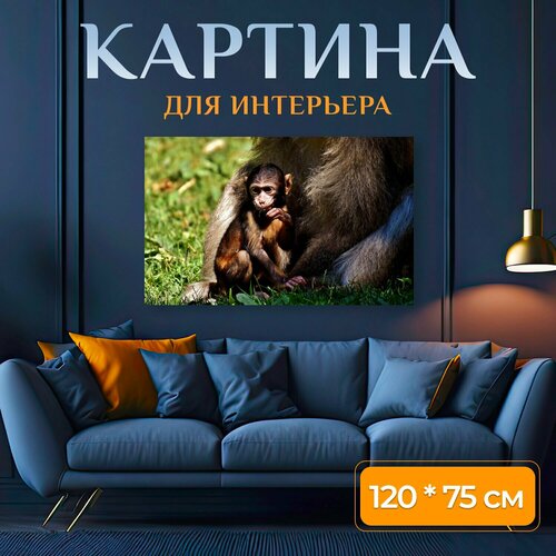 Картина на холсте "Детеныш обезьяны, варварская макака, угрожать видам" на подрамнике 120х75 см. для интерьера