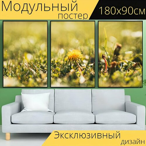 Модульный постер "Цветок, трава, семена" 180 x 90 см. для интерьера