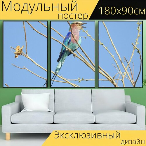Модульный постер "Птица, красочный, природа" 180 x 90 см. для интерьера