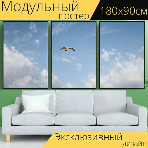 Модульный постер "Чайка, небо, облака" 180 x 90 см. для интерьера
