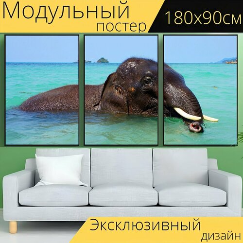 Модульный постер "Слон, купание, море" 180 x 90 см. для интерьера