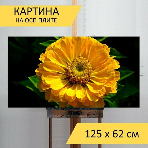Картина на ОСП 125х62 см. "Цинния, цветок, желтый" горизонтальная, для интерьера, с креплениями