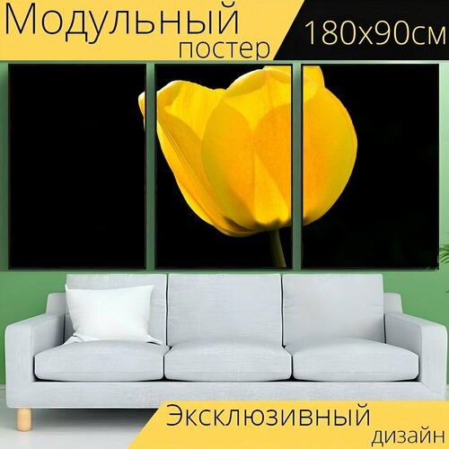 Модульный постер "Тюльпан, цветок, завод" 180 x 90 см. для интерьера