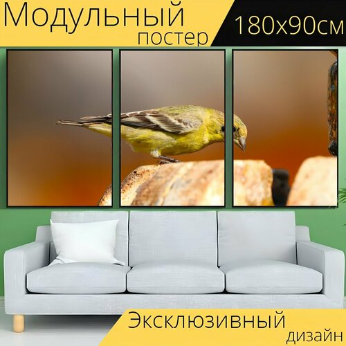 Модульный постер "Птица, фонтан, поилка для птиц" 180 x 90 см. для интерьера