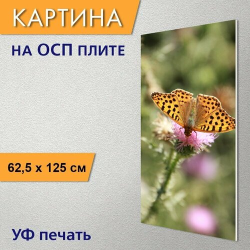 Вертикальная картина на ОСП "Бабочки, бабочка, кибела" 62x125 см. для интерьериа