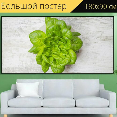 Большой постер "Зеленый салат, салат, зеленый" 180 x 90 см. для интерьера