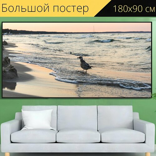Большой постер "Серебристой чайки, пляж, морской берег" 180 x 90 см. для интерьера
