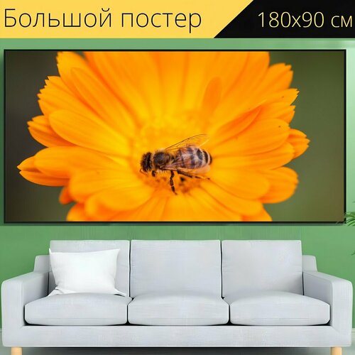 Большой постер "Опыление, пчела, цветок" 180 x 90 см. для интерьера