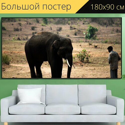 Большой постер "Приручить слона, погонщиков слонов, слон" 180 x 90 см. для интерьера