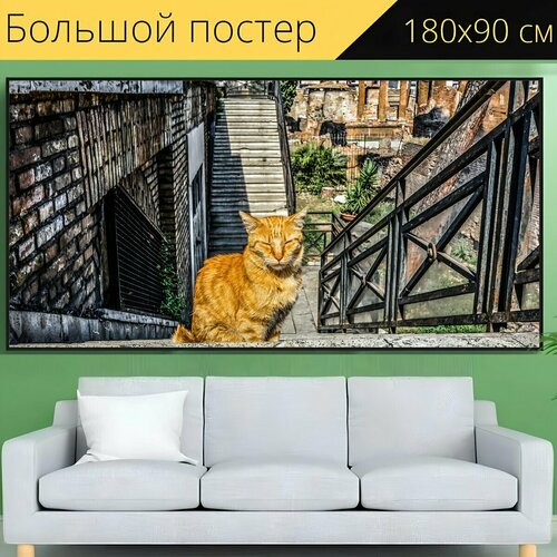 Большой постер "Кошка, кошачий, китти" 180 x 90 см. для интерьера