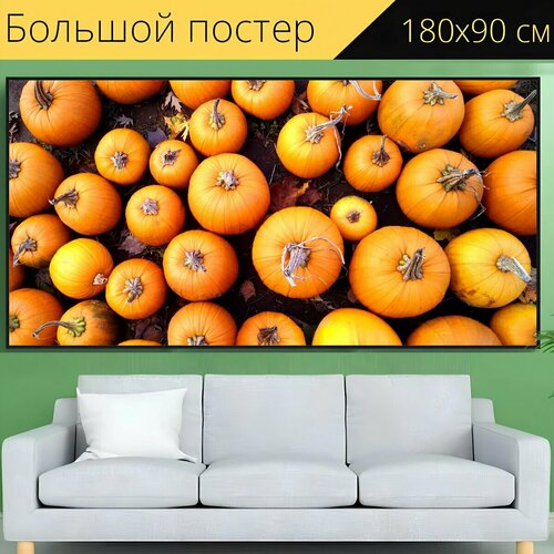 Большой постер "Тыквы, апельсин, уборка урожая" 180 x 90 см. для интерьера