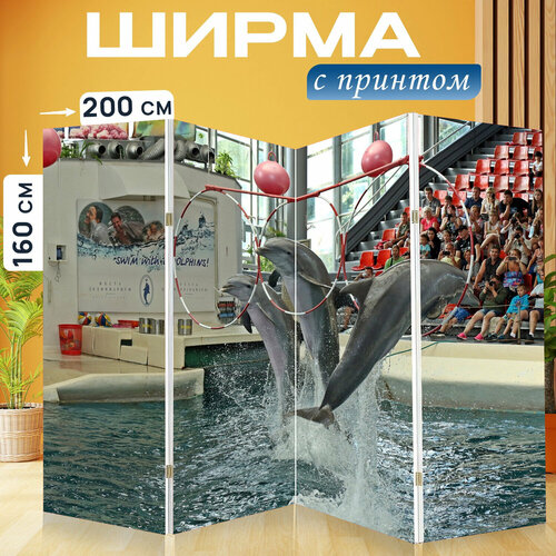 Ширма перегородка с принтом "Дельфины, варна, болгария" на холсте - 200x160 см. для зонирования, раскладная