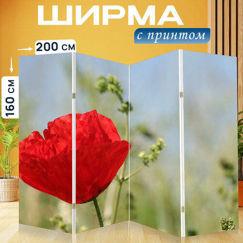 Ширма перегородка с принтом "Цветок, мака, красный" на холсте - 200x160 см. для зонирования, раскладная