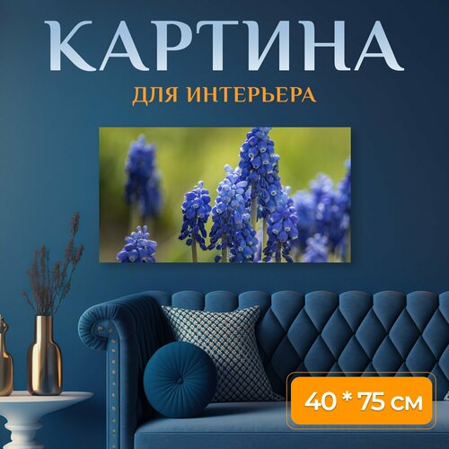 Картина на холсте "Мышиный гиацинт, гадючий лук, синие цветы" на подрамнике 75х40 см. для интерьера