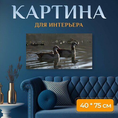 Картина на холсте "Лебедь, гусь, водоплавающая птица" на подрамнике 75х40 см. для интерьера