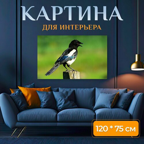 Картина на холсте "Сорока, птица, животное" на подрамнике 120х75 см. для интерьера