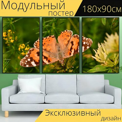 Модульный постер "Насекомое, бабочка, али" 180 x 90 см. для интерьера