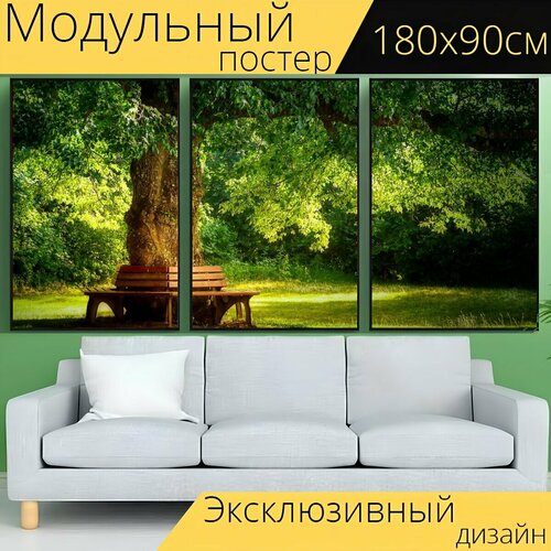 Модульный постер "Тихий, банк, дерево" 180 x 90 см. для интерьера