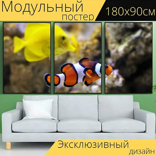 Модульный постер "Рыба клоун, желтый, апельсин" 180 x 90 см. для интерьера