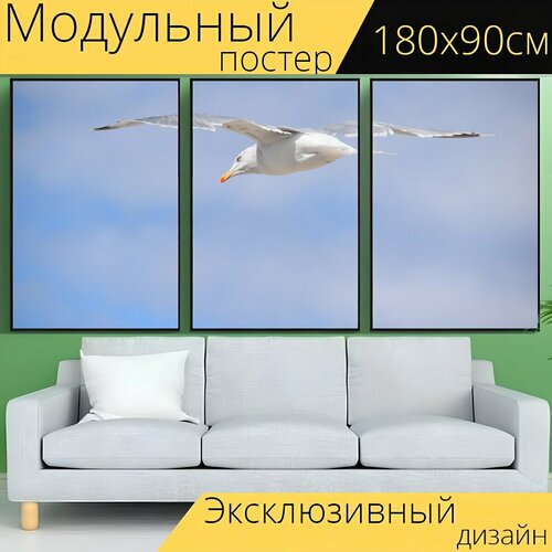 Модульный постер "Чайка, чайка белая, вид морской птицы" 180 x 90 см. для интерьера