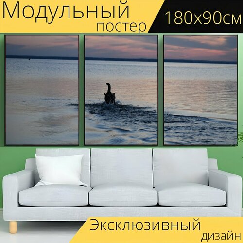 Модульный постер "Собака, пляж, море" 180 x 90 см. для интерьера