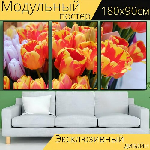 Модульный постер "Тюльпаны, цветы, весна" 180 x 90 см. для интерьера