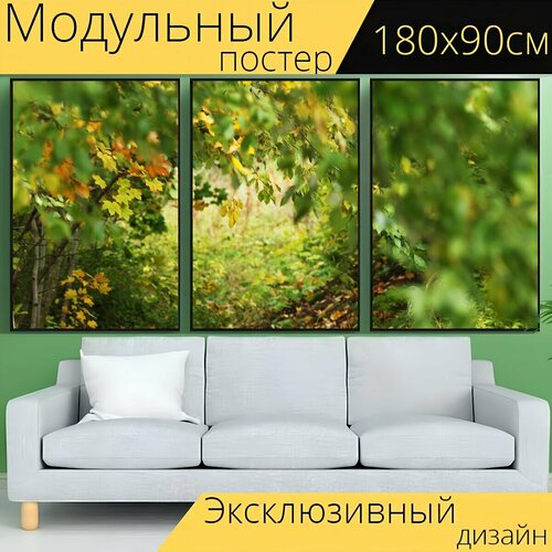 Модульный постер "Осень, падение, пейзаж" 180 x 90 см. для интерьера