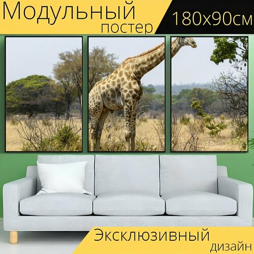 Модульный постер "Жирафа, животное, сафари" 180 x 90 см. для интерьера