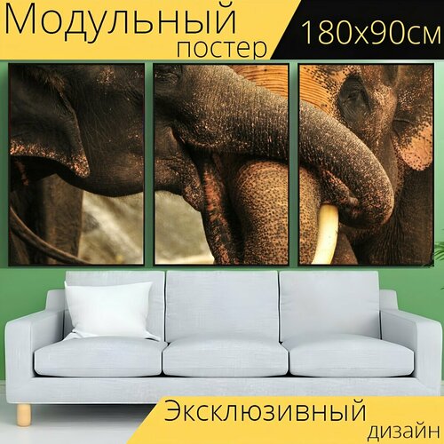 Модульный постер "Слон, сундуки, таиланд" 180 x 90 см. для интерьера