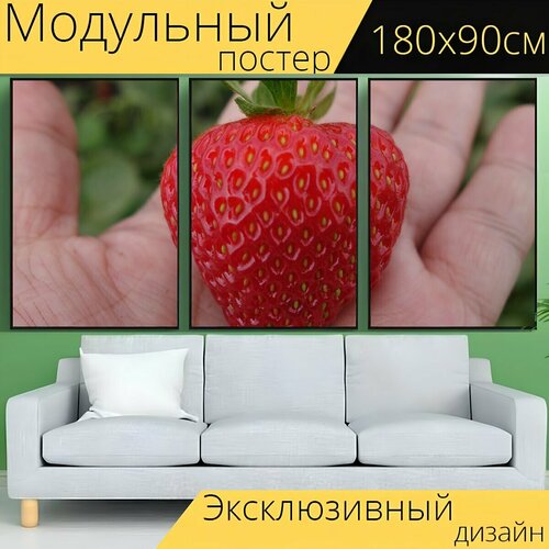 Модульный постер "Клубника, фрукты, ягода" 180 x 90 см. для интерьера