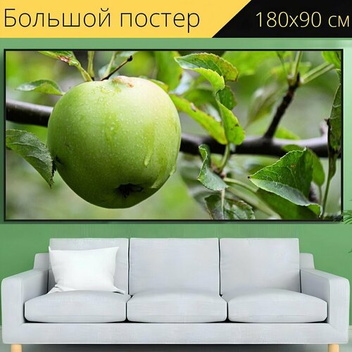 Большой постер "Яблоко, зеленый, фрукты" 180 x 90 см. для интерьера