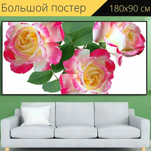 Большой постер "Цветы, розы, ароматный" 180 x 90 см. для интерьера